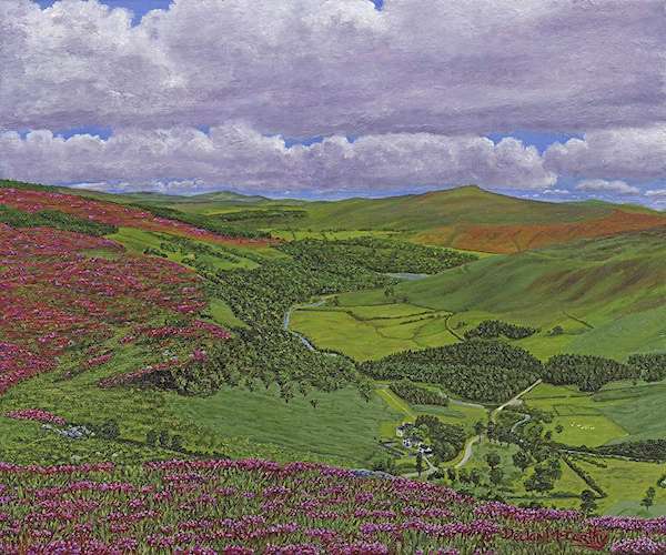 Irish Artist | Declan McCarthy | Dublin