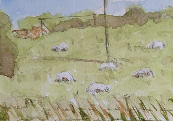 Irish Art | Sheep Grazing in Autumn Sun by Francis McShane