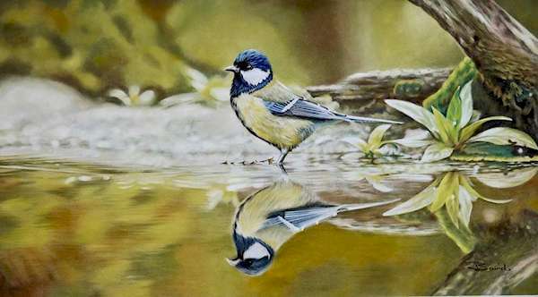Irish Artist | Jacqueline Baird, Down