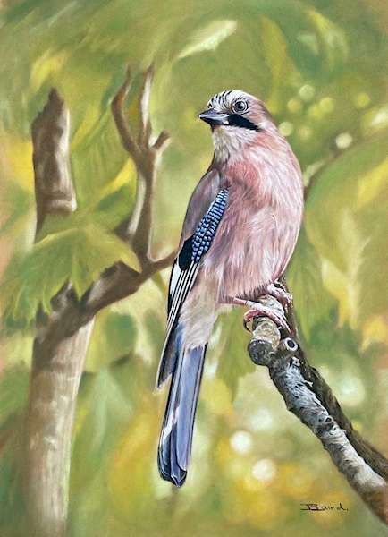 Irish Artist | Jacqueline Baird | Down