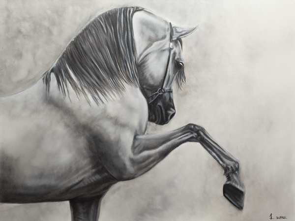 Irish artist | Leonie Sutton, Wicklow and Galway