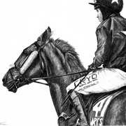 Irish artist | Leonie Sutton, Wicklow and Galway