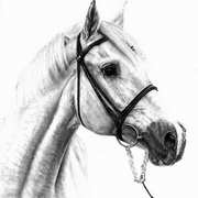 Irish art | Equine Art | Artists of Ireland