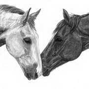 Irish artist Leonie Sutton, Wicklow and Galway