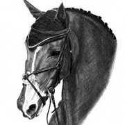 Irish artist | Leonie Sutton, Wicklow and Galway