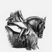 Irish artist | Leonie Sutton, Wicklow and Galway