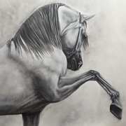 Irish artist | Leonie Sutton, Wicklow and Galway