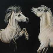 Irish artist | Leonie Sutton, Wicklow and Galway