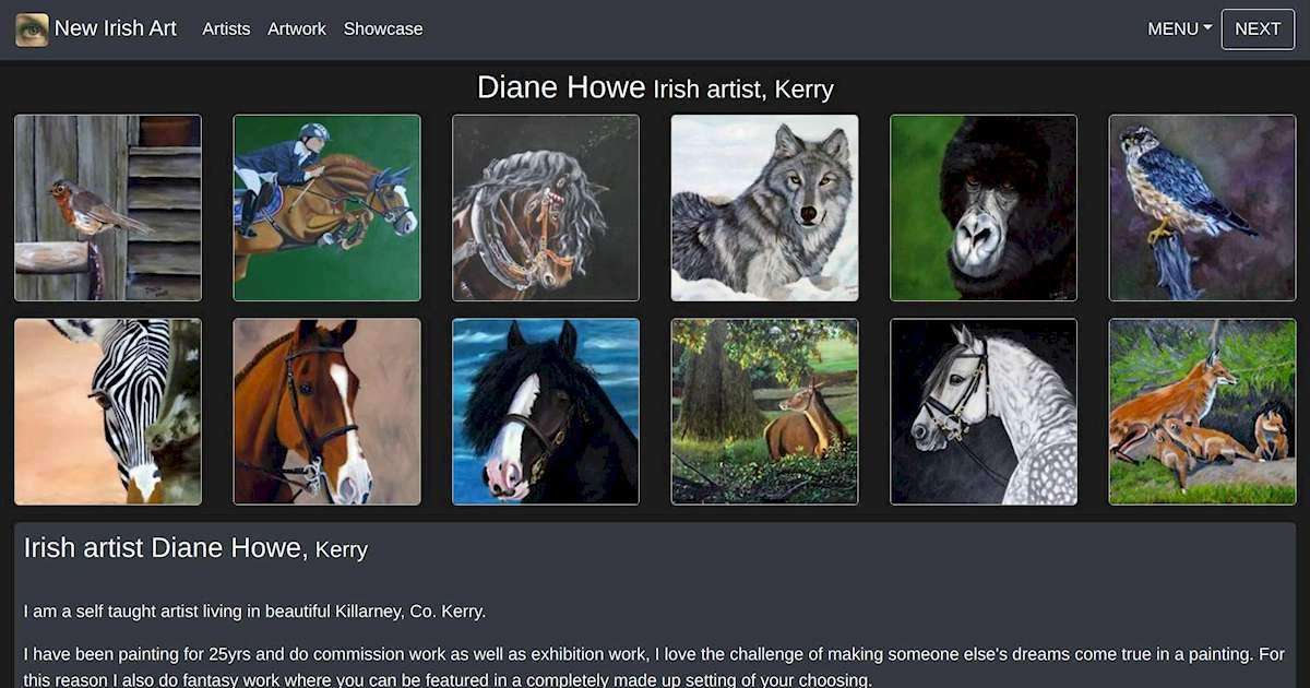 Irish artist - Diane Howe - Kerry